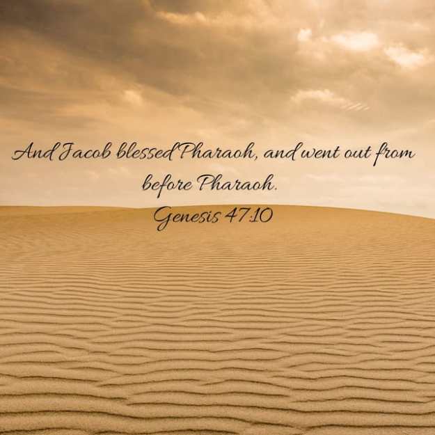 The Great Famine | Unashamed of Jesus