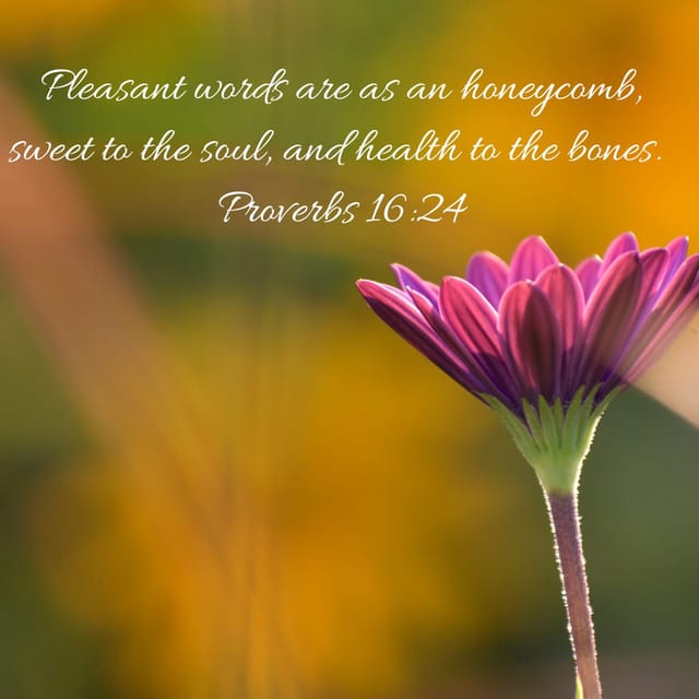 Pleasant Words | Unashamed of Jesus