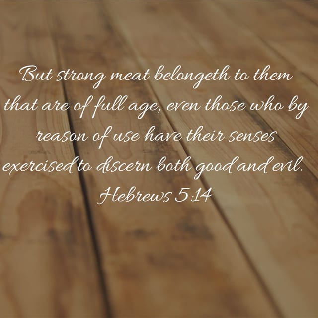 Meat and Milk | Unashamed of Jesus