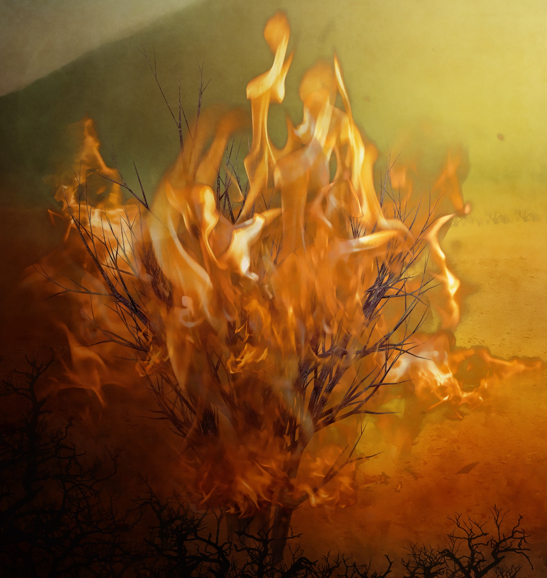 Burning Bush | Unashamed of Jesus