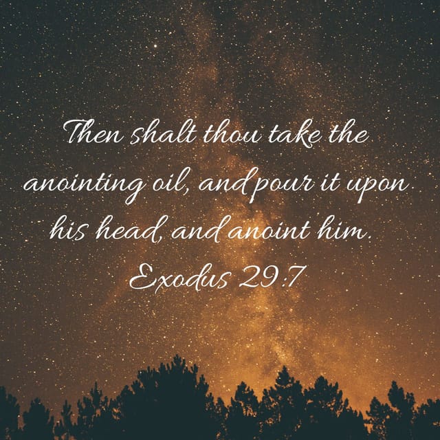 Exodus 29- Set Apart | Unashamed of Jesus