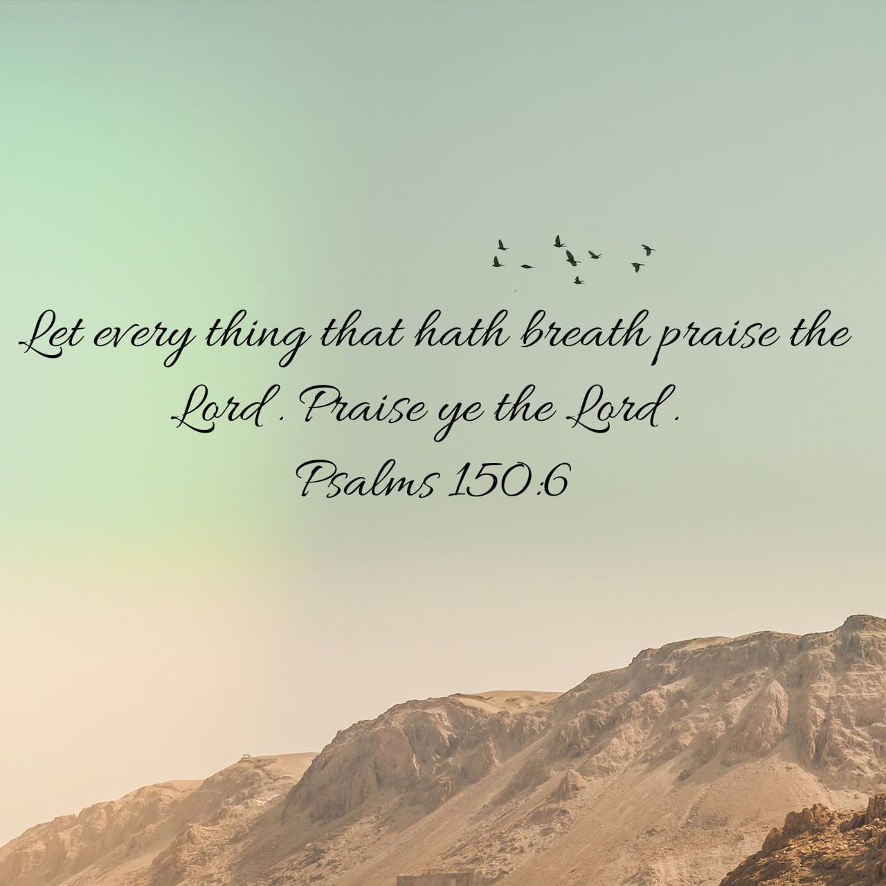 Praise The Lord | Unashamed of Jesus