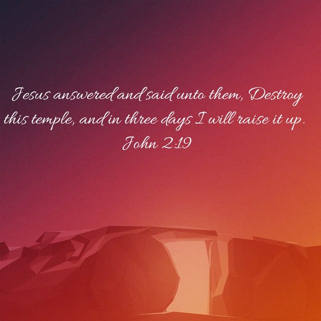 John 2- Cleansing The Temple | Unashamed of Jesus