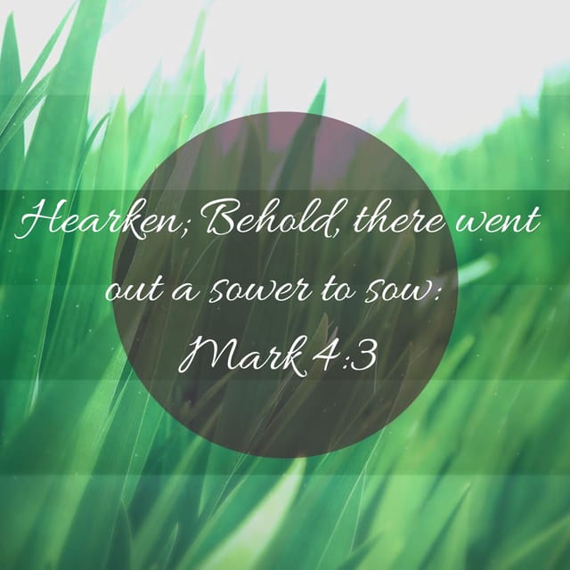 Mark 4- Parable of The Sower | Unashamed of Jesus