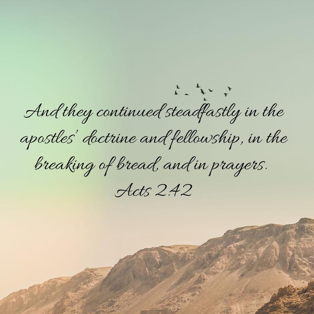 Acts 2- The Revival | Unashamed of Jesus