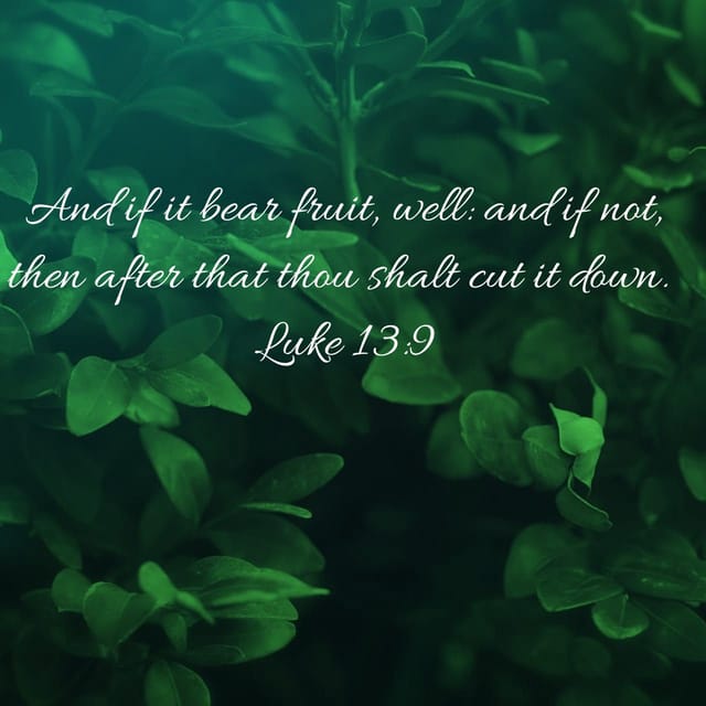 Luke 13- The Fig Tree | Unashamed of Jesus