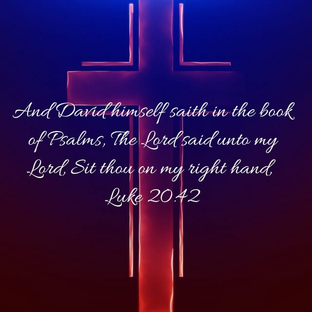 Luke 20- Son of God | Unashamed of Jesus