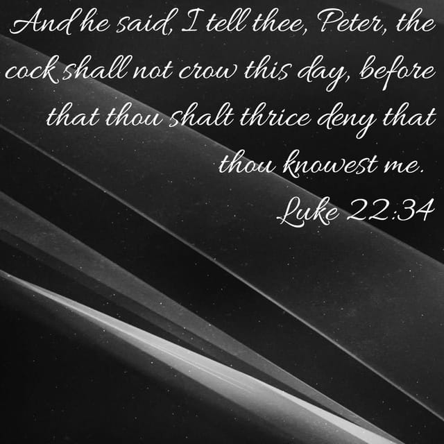 Luke 22- Merciful Savior | Unashamed of Jesus