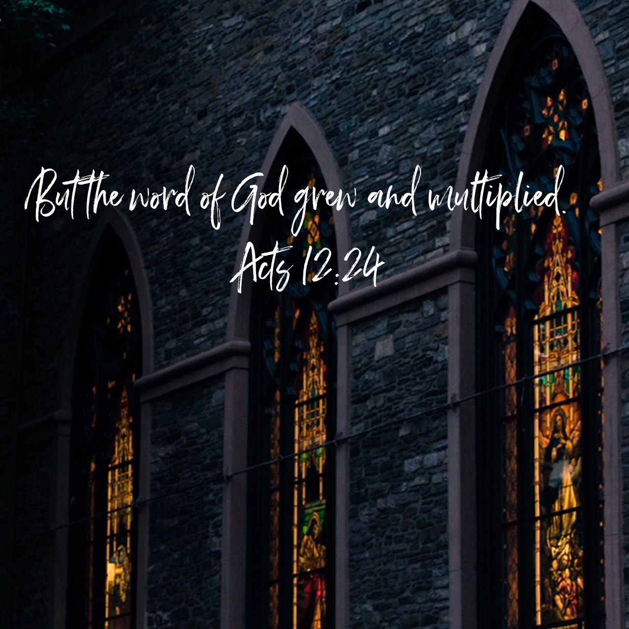 Acts 12- Word of God | Unashamed of Jesus