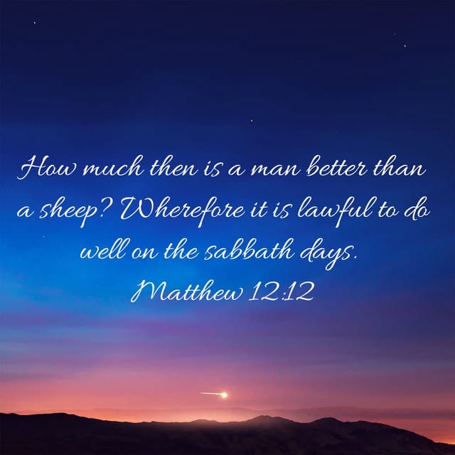 Matthew 12- Jesus Heals On The Sabbath | Unashamed of Jesus