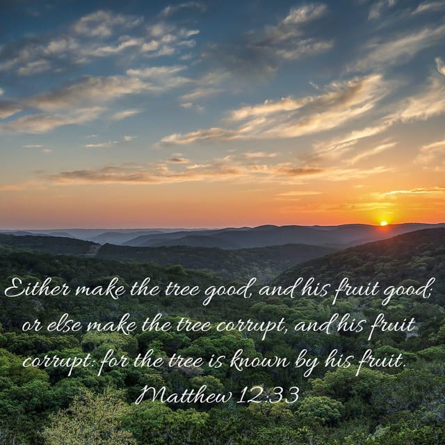 Matthew 12- By Their Fruit | Unashamed of Jesus