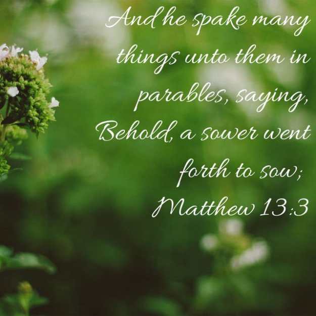 Matthew 13- Parable of The Sower | Unashamed of Jesus