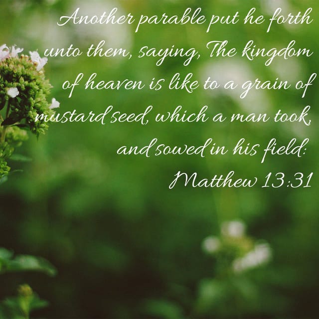 Matthew 13- Parables of The Kingdom of God | Unashamed of Jesus