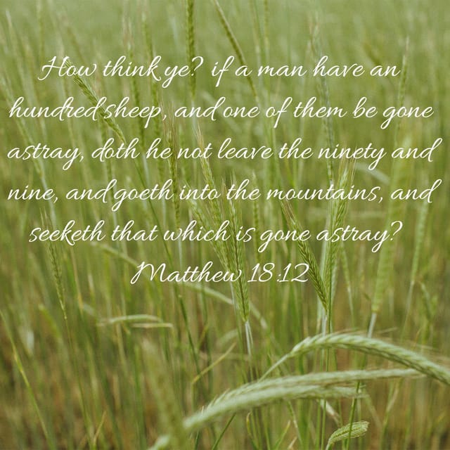 Matthew 18- The One Lost Sheep | Unashamed of Jesus