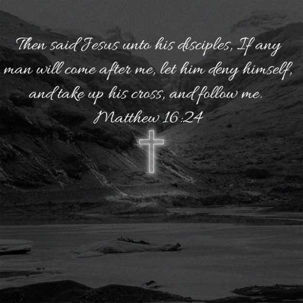 Matthew 16- Carry Your Cross | Unashamed of Jesus