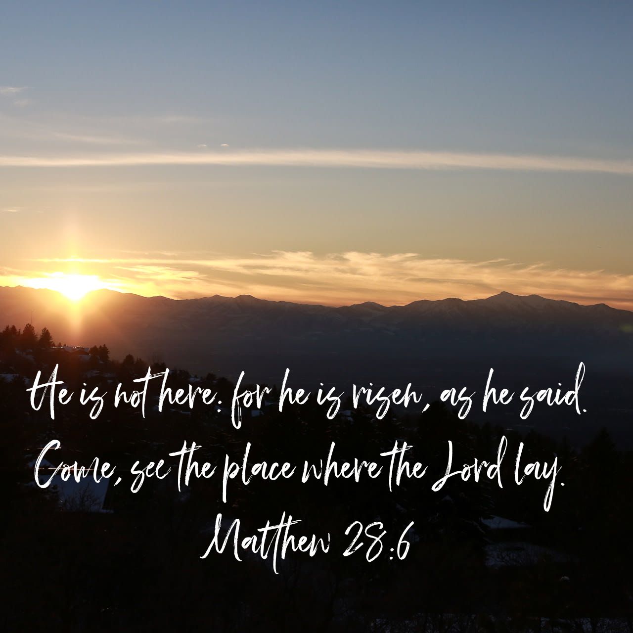 Matthew 28- Because He Lives | Unashamed of Jesus