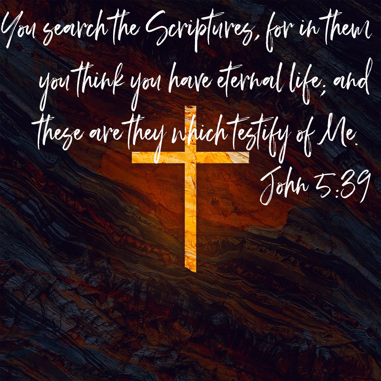 John 5- All About Jesus | Unashamed of Jesus