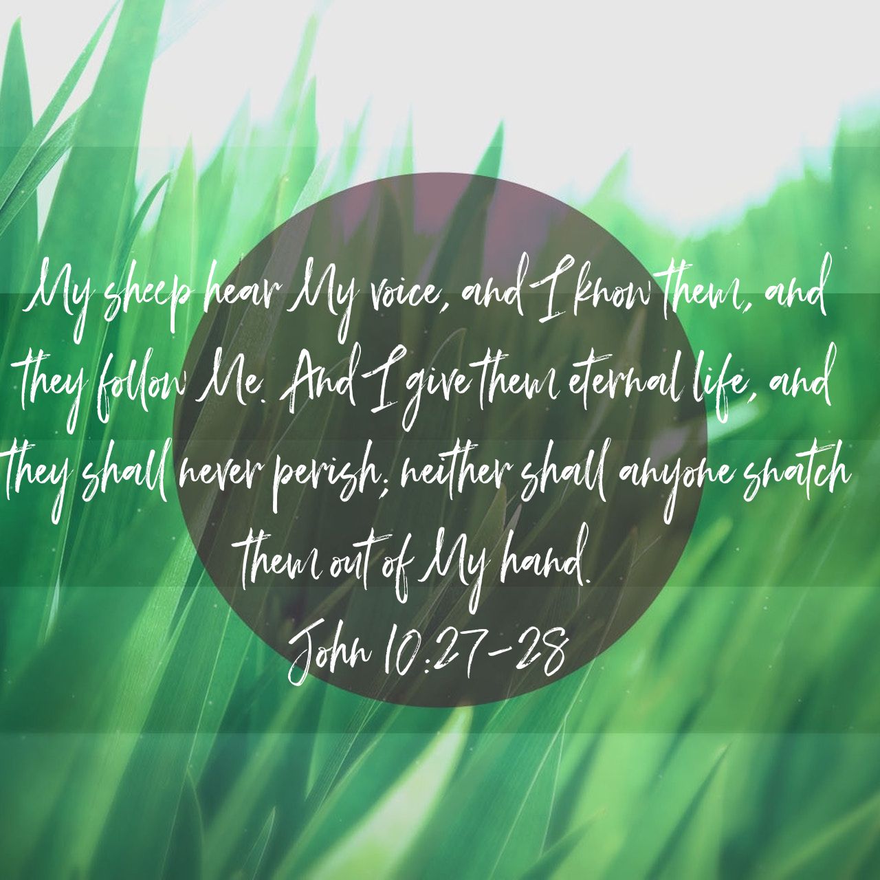 John 10- Never Perish | Unashamed of Jesus