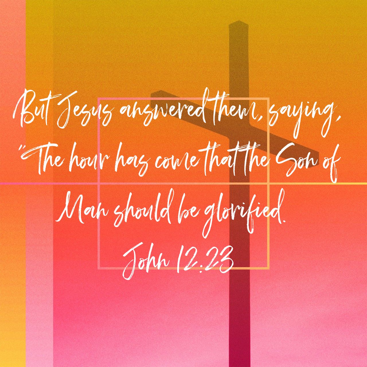 John 12- The Hour Has Come | Unashamed of Jesus