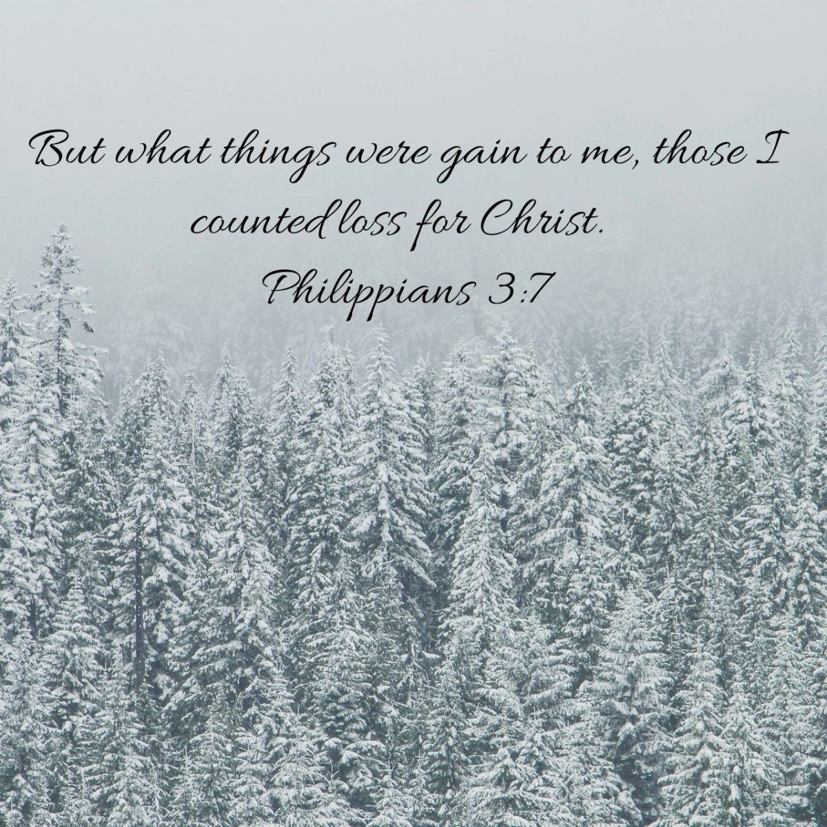 Philippians 3- Christ Must Increase | Unashamed of Jesus