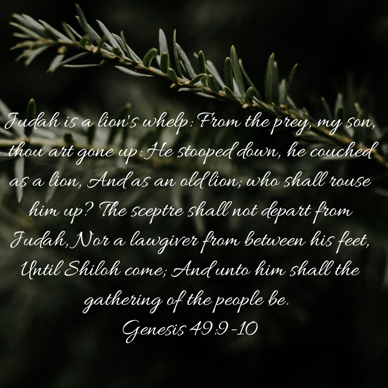 Genesis 49- Lion of Judah | Unashamed of Jesus