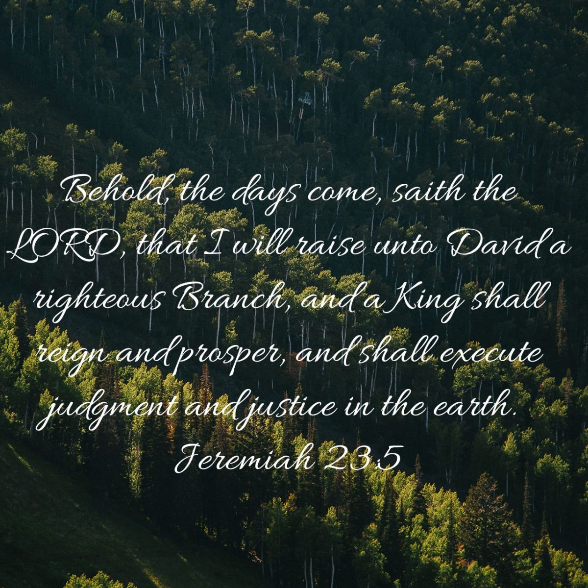 Jeremiah 23- Righteous Branch | Unashamed of Jesus