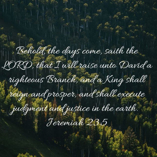 Jeremiah 23- Righteous Branch | Unashamed of Jesus