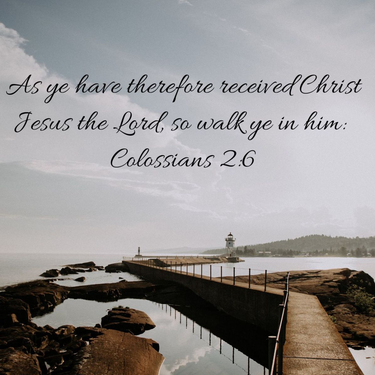Colossians 2- Walk In Christ | Unashamed of Jesus