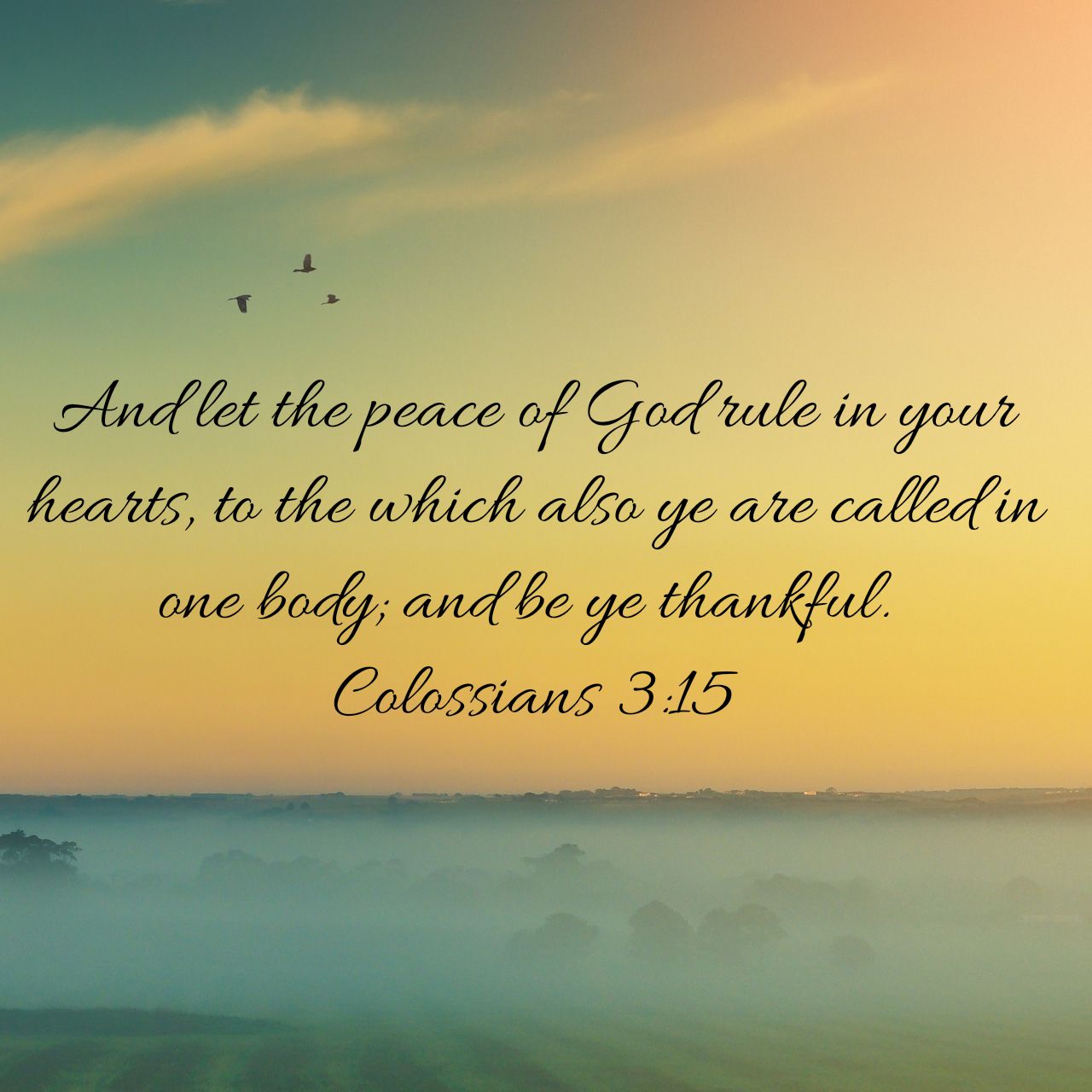 Colossians 3- Peace of God | Unashamed of Jesus