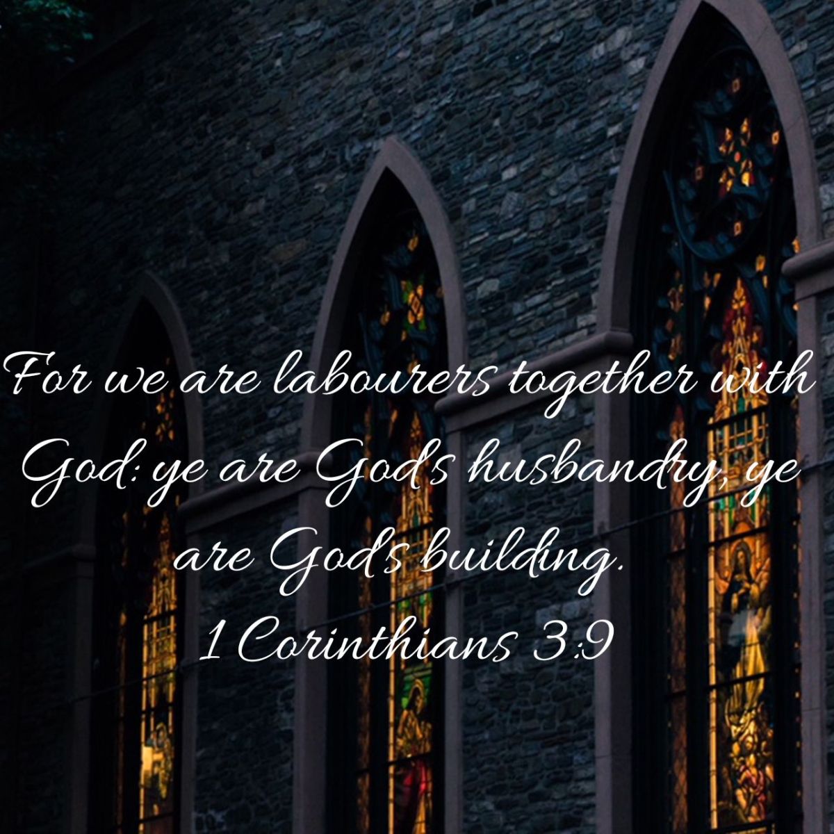 1 Corinthians 3- Workers for God | Unashamed of Jesus