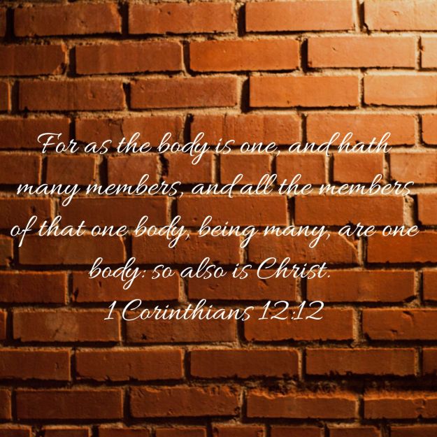 1 Corinthians 12- The Body of Christ Part 1 | Unashamed of Jesus
