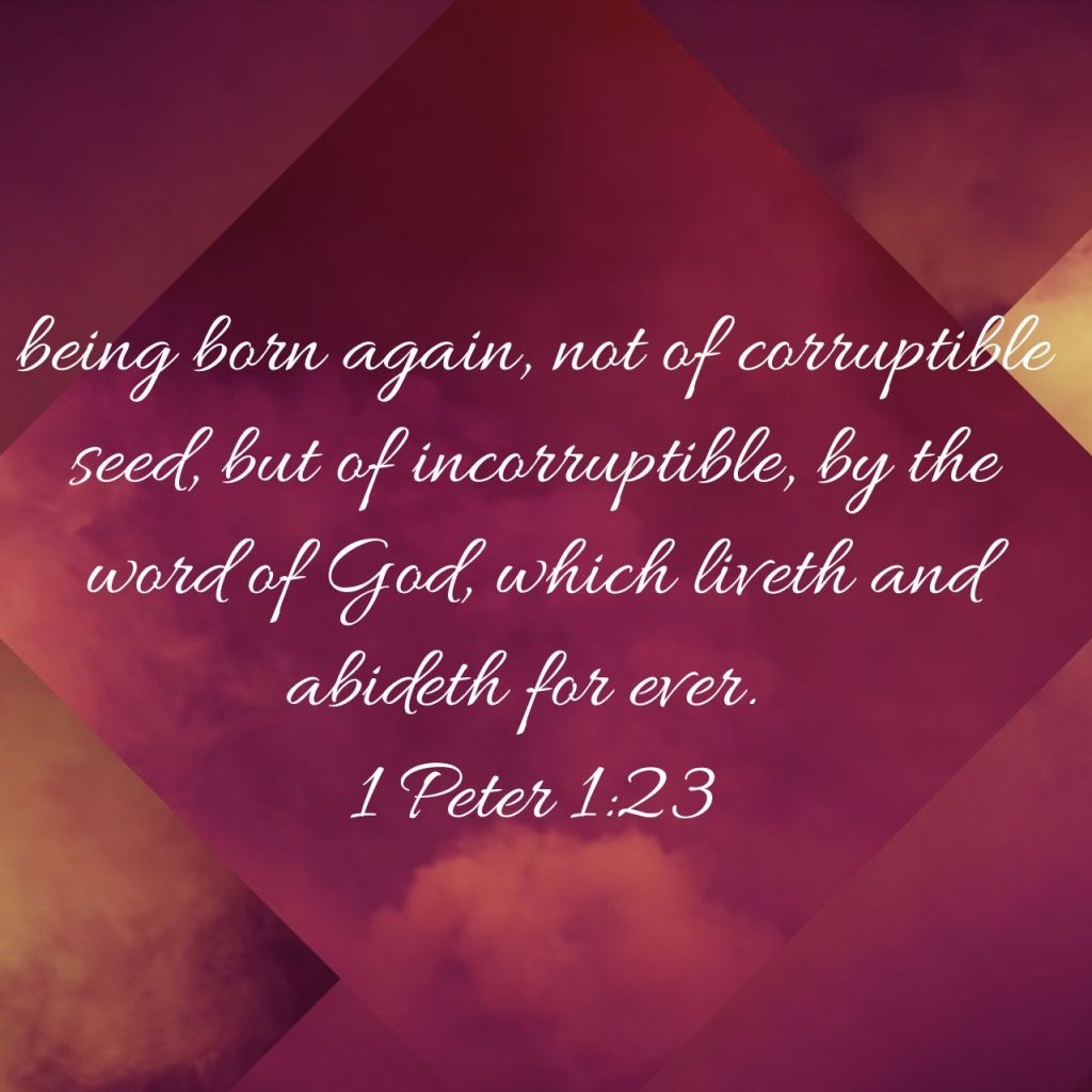 1 Peter 1- Born Again | Unashamed of Jesus