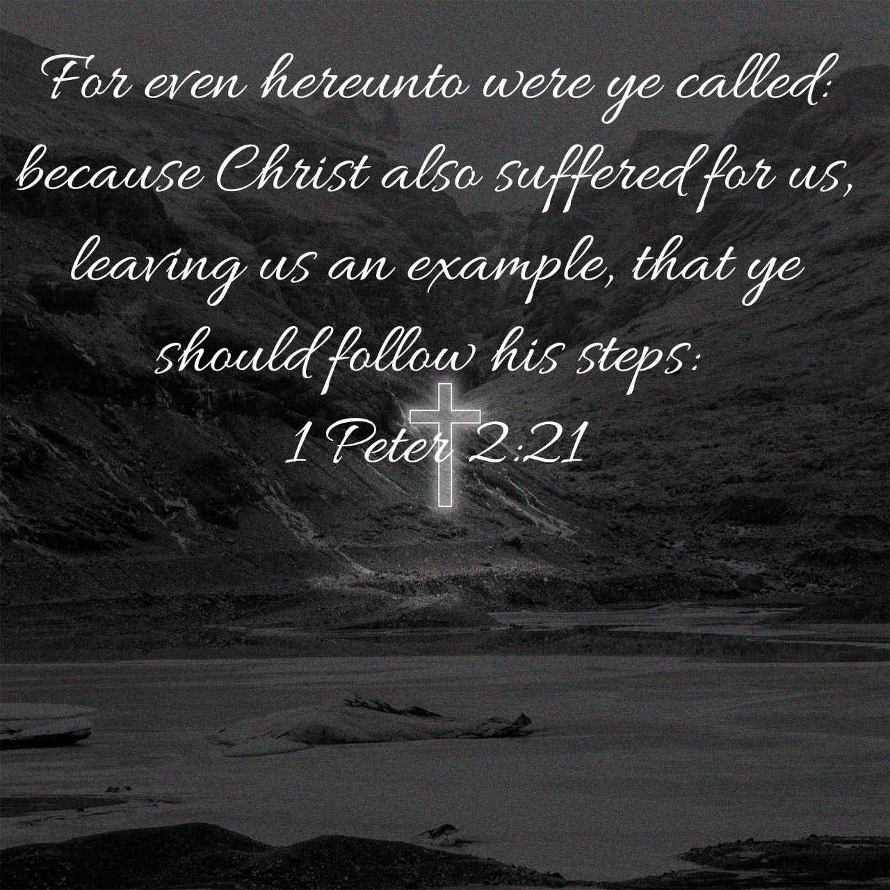 1 Peter 2- Christ Our Example | Unashamed of Jesus