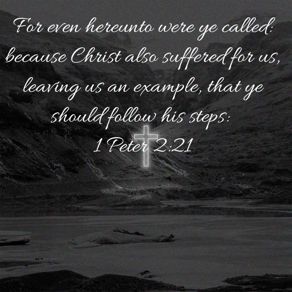 1 Peter 2- Christ Our Example | Unashamed of Jesus