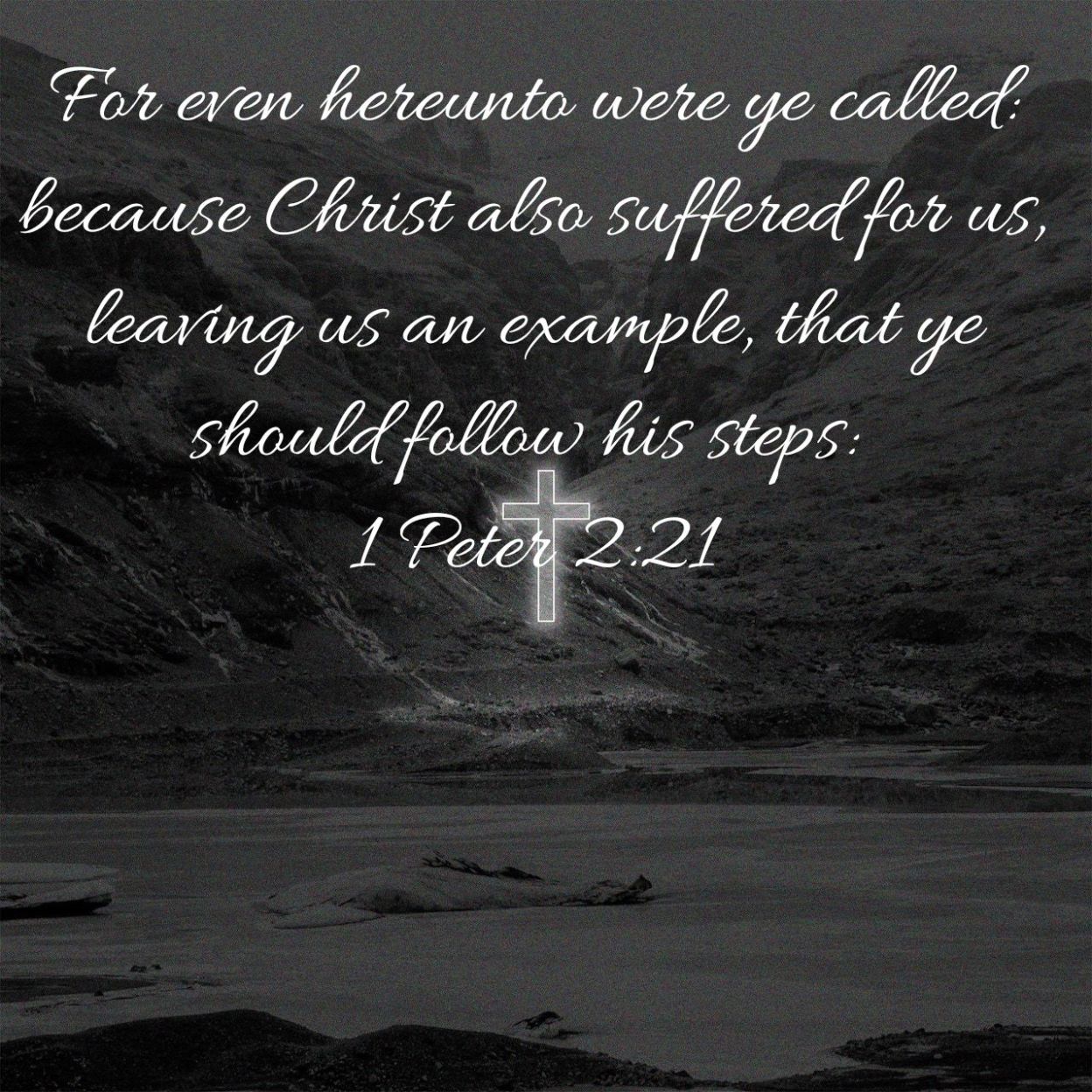 1 Peter 2- Christ Our Example | Unashamed of Jesus