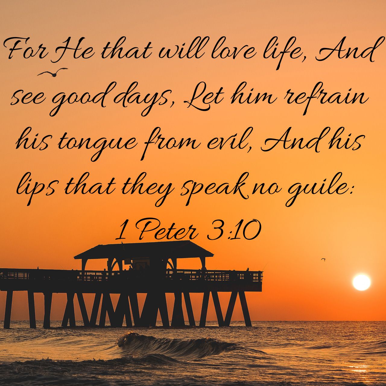 1 Peter 3- Biblical Wisdom | Unashamed of Jesus