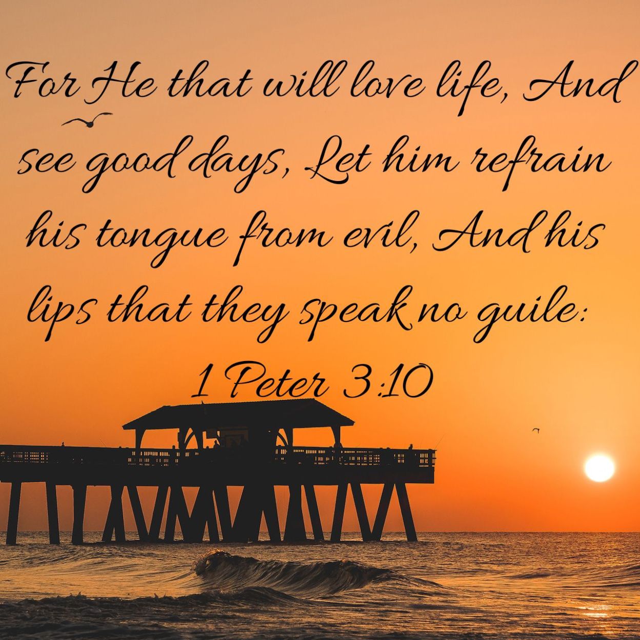 1 Peter 3- Biblical Wisdom | Unashamed of Jesus