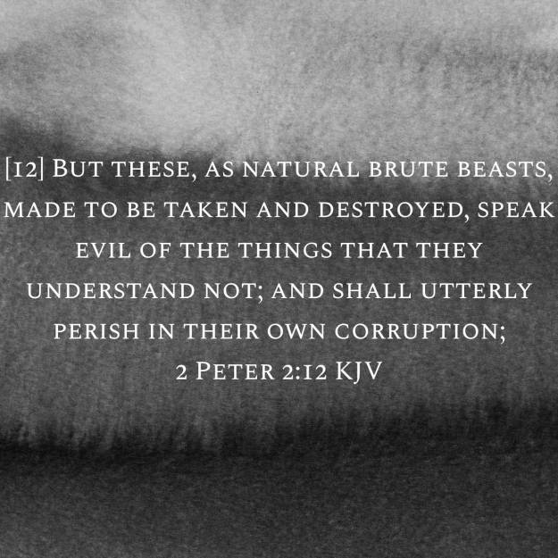 2 Peter 2- False Teachers | Unashamed of Jesus
