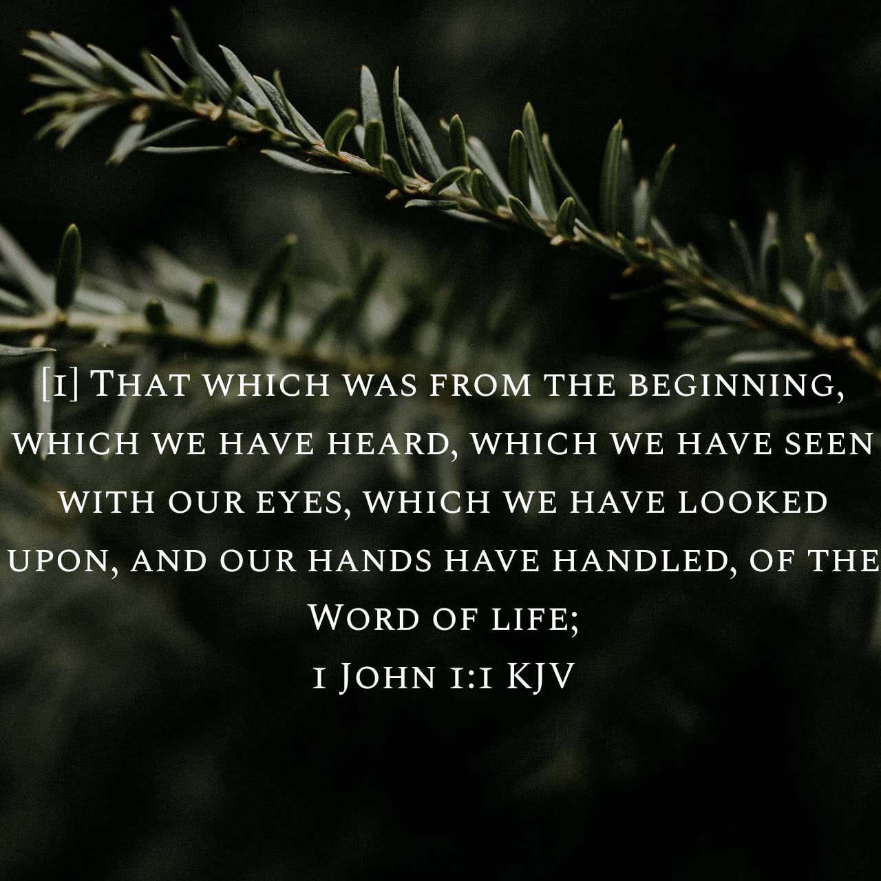 1 John 1- The Word of Life | Unashamed of Jesus