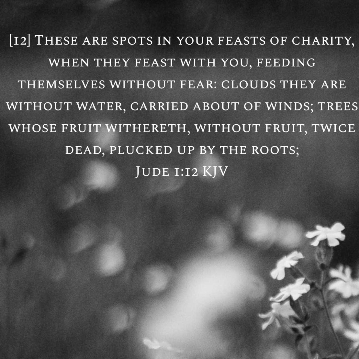 Jude 1- Tares in the Church | Unashamed of Jesus