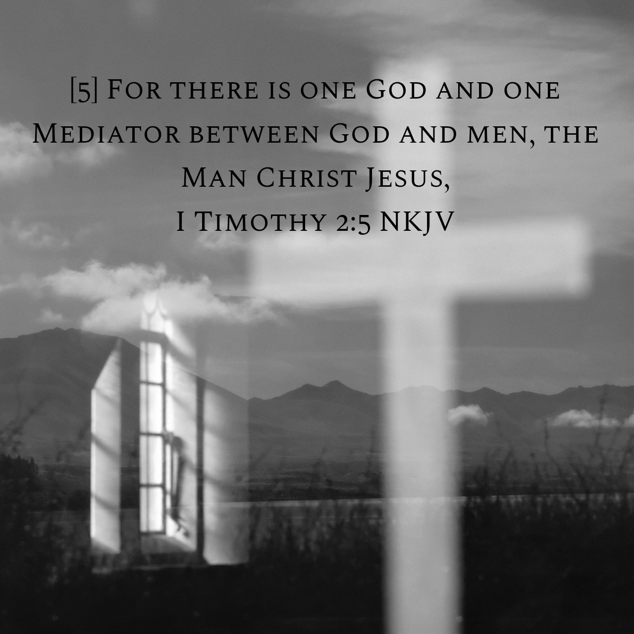 1 Timothy 2- One Mediator | Unashamed of Jesus