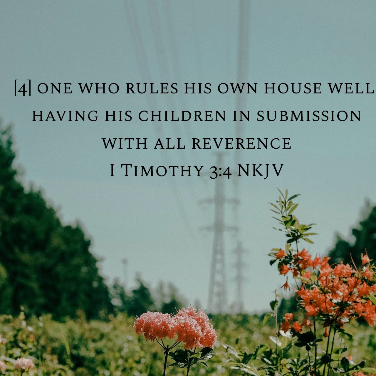 1 Timothy 3- Qualifications for Leaders in the Church Part 2 ...
