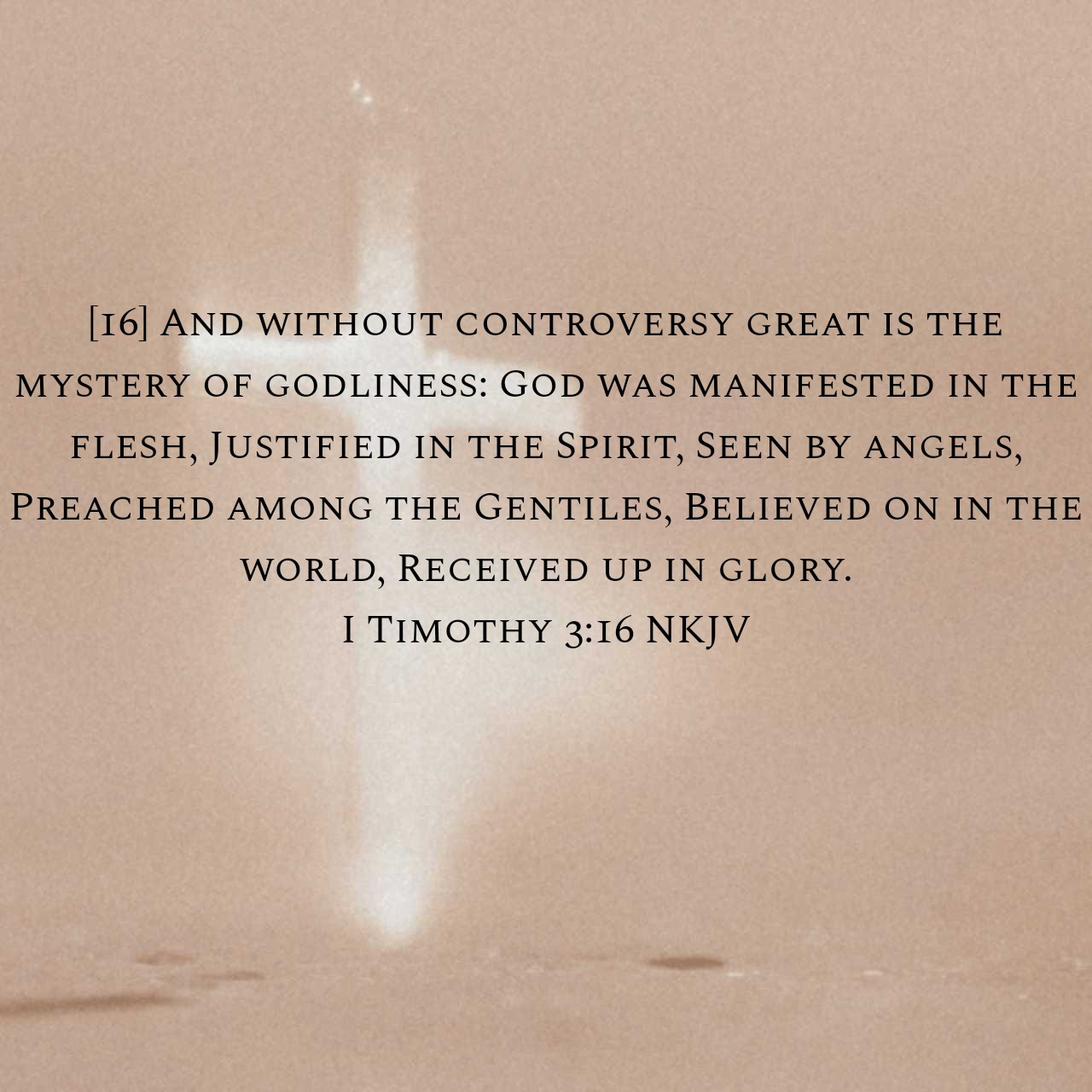 1 Timothy 3- The Great Mystery | Unashamed of Jesus