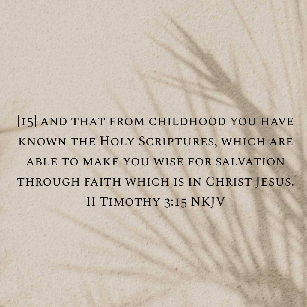 2 Timothy 3- Grounded in Scripture | Unashamed of Jesus