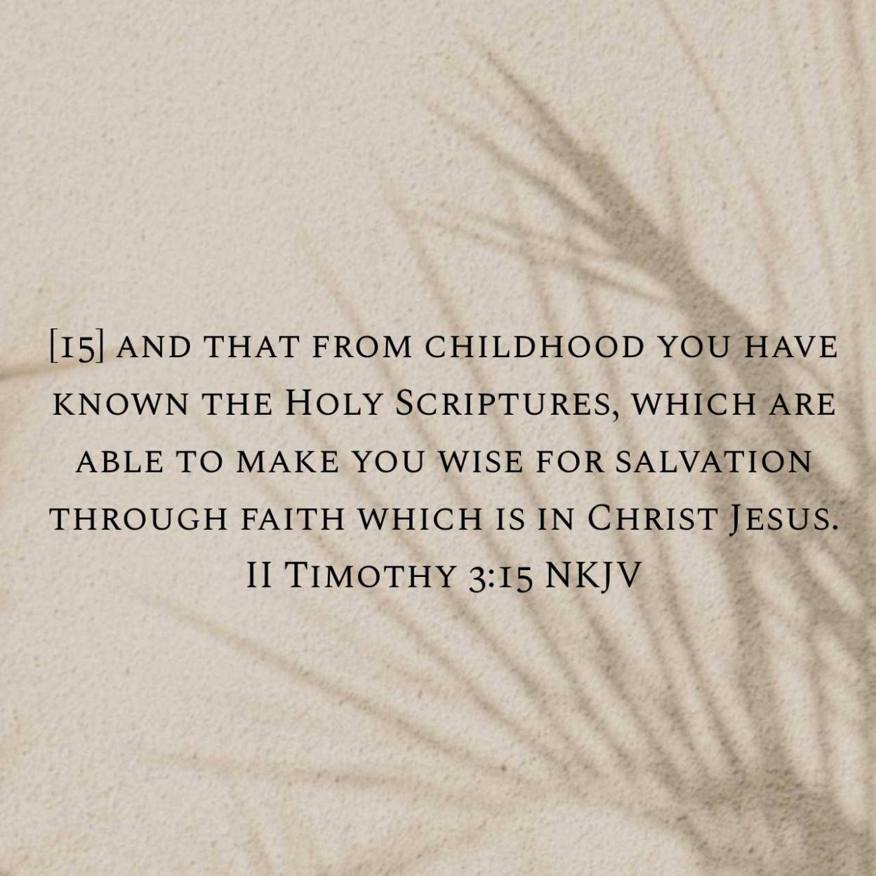 2 Timothy 3- Grounded in Scripture | Unashamed of Jesus