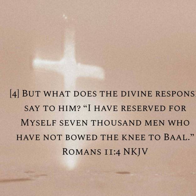 Romans 11- The Remnant | Unashamed of Jesus
