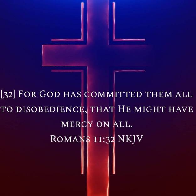 Romans 11- Grace and Mercy | Unashamed of Jesus