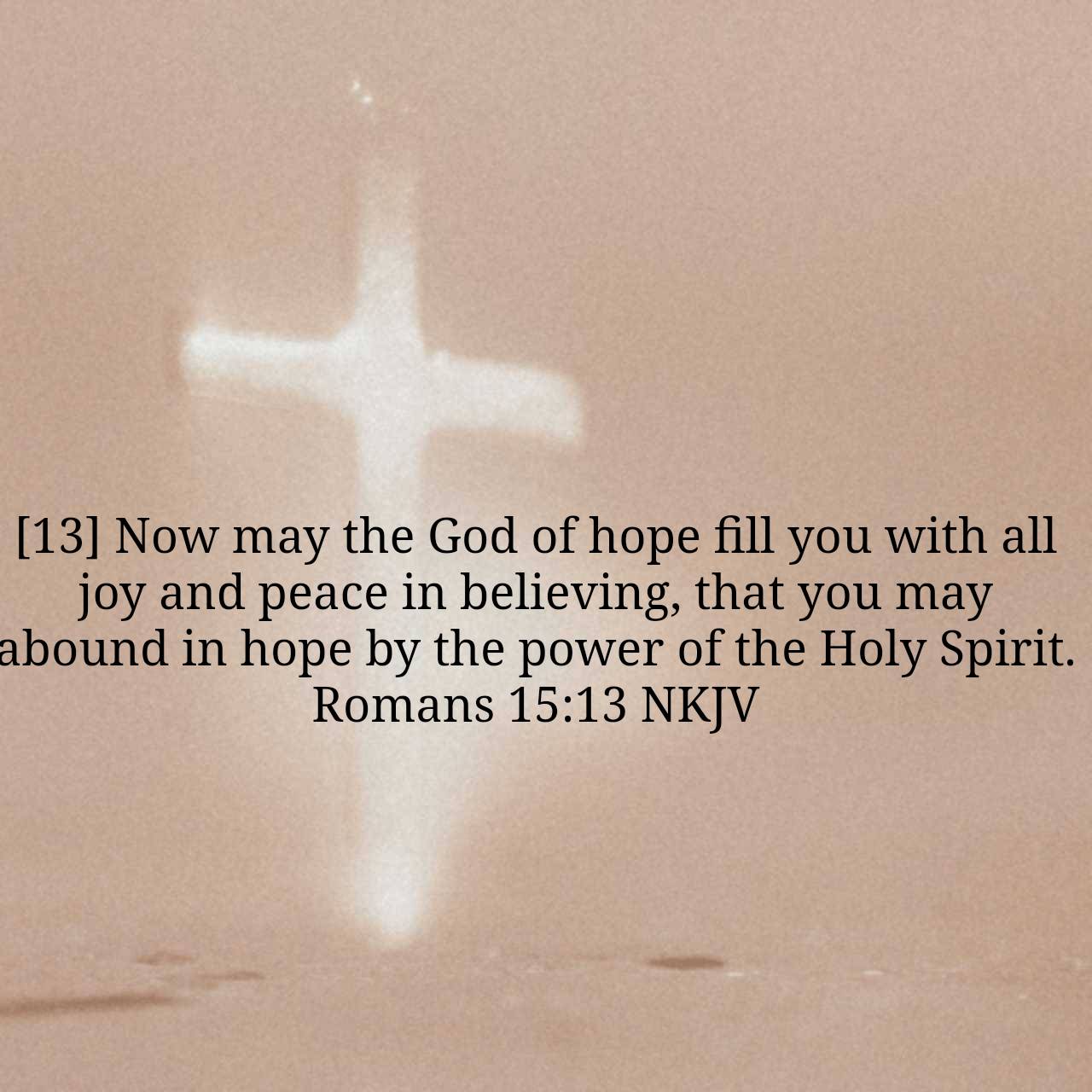 Romans 15- What Is Your Hope? | Unashamed of Jesus